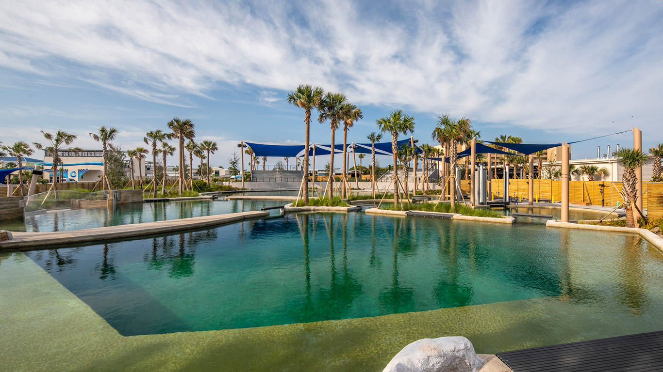 Gulfarium Dolphin Oasis
